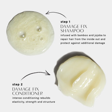 shampoos & conditioners – privé products